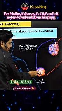 Respiration in humans | class 10 life processes | ncert | cbse