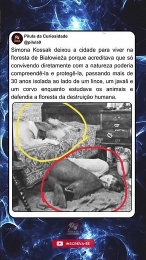 Ela largou tudo pra viver na floresta com os animais