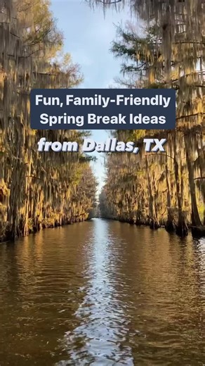 Are you looking for fun, family-friendly spring break getaway ideas? Check out these five destinations from Dallas that will surely make great family memories. Visit my website (link in bio) for trip itinerary ideas for these destinations too! 📍Caddo Lake Spend the day at one of the most beautiful lakes in Texas. You can explore Caddo Lake and its gorgeous landscape with bald cypress trees by boat, kayak, and canoe, go fishing, and take a boat tour to catch a stunning sunrise or sunset. 📍Dripp