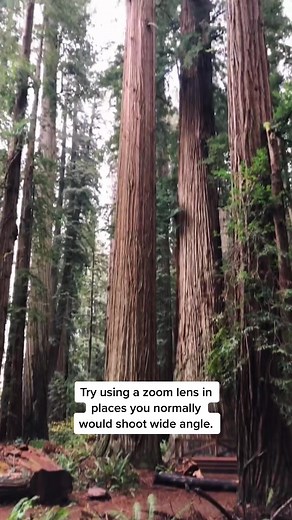 drew.simms on TikTok