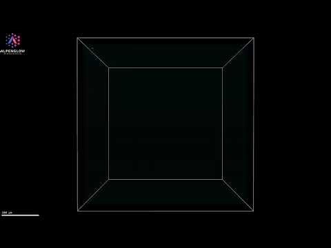 3D Imaging of Prostate Organoids