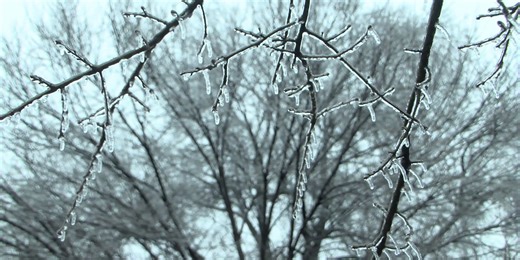 North Carolina school districts make schedule changes amid subfreezing conditions