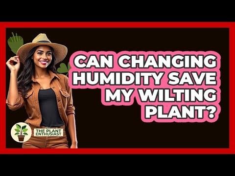 Can Changing Humidity Save My Wilting Plant?