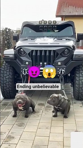 "Unbelievable Dog Transformations 😱 From Cute to Beast Mode 😈"