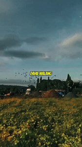 27K views · 961 reactions | Laban lang palagii at tibayan ng loob #updates2025 #followersreels #MCSLoft #kalapatids #kalapatidsph #flyhigh | Manuel Capidos Soldevilla | Facebook