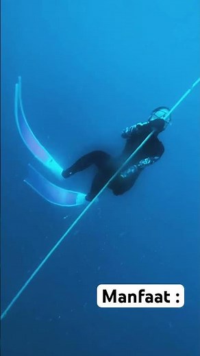 Freedive training tips for beginner