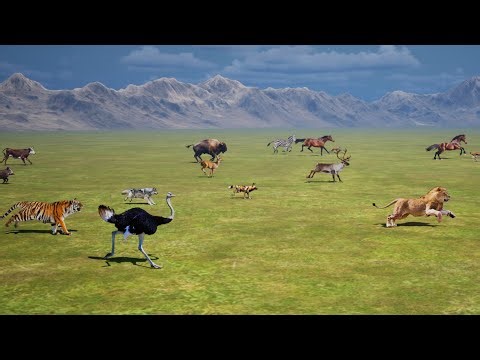 Animals Speed Comparison | Domestic Animals vs Wild Animals | Top Speed