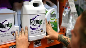Procès Monsanto: le jury reconnaît une 'relation de causalité' entre Roundup et cancer - RTBF Actus