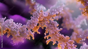 Magnified view of a protein kinase cascade in the cytoplasm transducing a signal to an intracellular target.