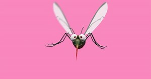 Fun 3D cartoon mosquito (with alpha channel included)
