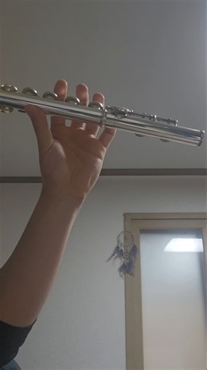 Fly Me to the Moon flute cover #플루트연주 #flutesong #jazzmusic #flute