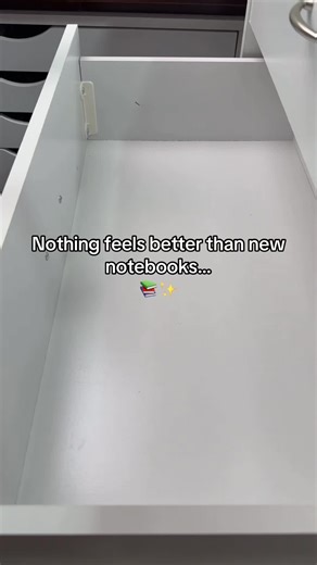 Notebook restock day📚…and I’ll stand by that 🤍 Soft colors, quiet order, slow restocking. Not just stationery - a little reset. Available inside my curated bundles - link in bio✨ #restockasmr #stationerylover #notebook #bookishbundles