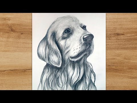 How to Draw a Realistic Dog with a Pencil | Step-by-Step Tutorial for Beginners