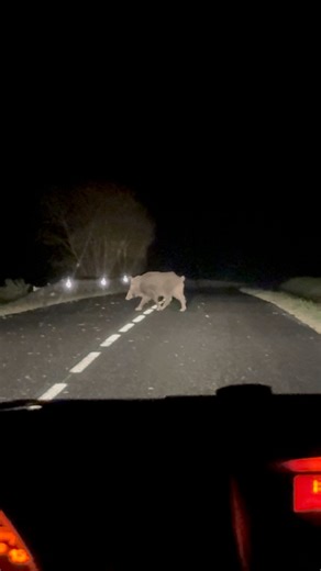 1.2M views · 13K reactions | Cassandra Glad on Reels | Facebook