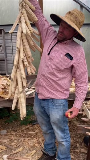 ✨Star ingredients make a star dish, and behind *this* ingredient is a star farmer! ✨ Flights & Bites this Sunday, January 15th will feature Pozole Rojo by REAP Chef Ambassador Elijah Hipke, a dish showcasing blue corn hominy made from @yowela_farms corn grown by @dan.cornelius Reserve your tickets to be our valentine and taste this special dish! #farmfreshatlas #wisconsineats #buylocal #farmfresh #wisconsincorn | REAP Food Group
