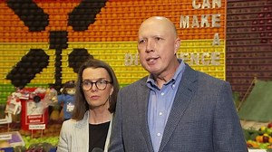 Federal government's national jobs summit a 'stunt': Peter Dutton