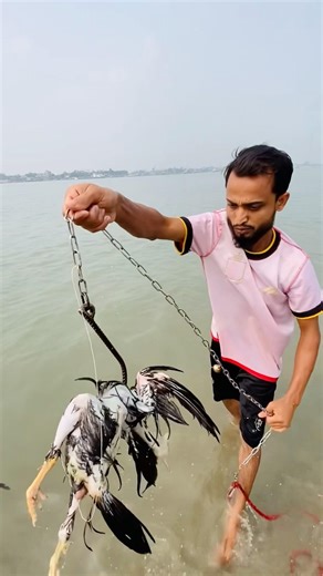 Insane River Catch Using Chicken! #fishing #fishinglife #bait #shortsfeed #village #riverside
