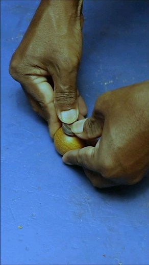 Woodworking 101: How to Properly Use Wall Plugs in Wood🤓🤔#shorts