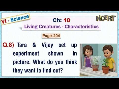 Ch:10 - Pg:204 - Q.8) Tara and Vijay set up the experiment shown in the picture (Fig. 10.10).