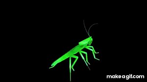 Rainbow cockroach dances to Daft Punk Around the World 10 hours on Make a GIF