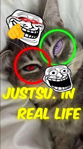 Naruto Fans Attempt EPIC Real-Life Ninja Jutsu!