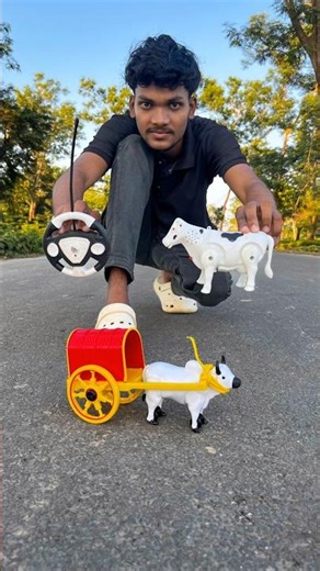 2 Ta Remote Control Cow Goru Gari Unboxing 😱 #animals​