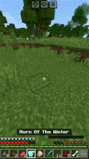 #minecraft horn of the winter🔥✅️ survivor match