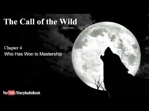 The Call of the Wild by Jack London - Chapter 4: Who Has Won to Mastership