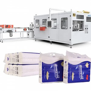 [Hot Item] New Technology Tp-R220 Embossing Tissue Paper Roll Packing Machine