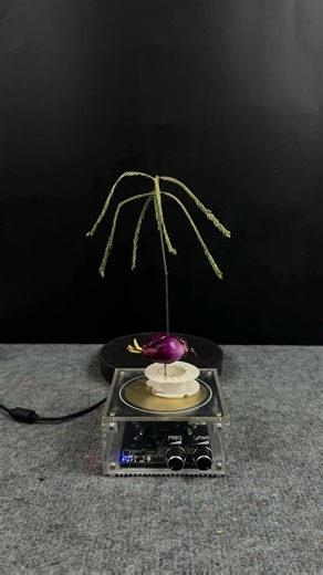 Tesla coil Project part(3)#experiment