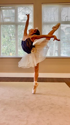 Russian Ballet workout on Reels