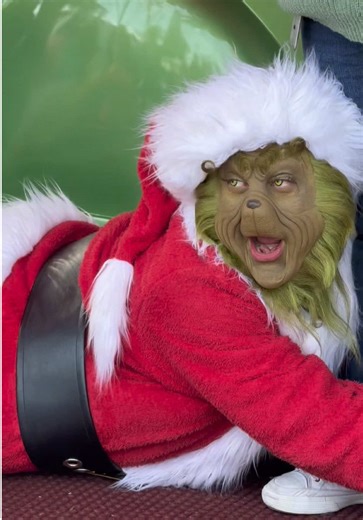The The The Grinch! #thegrinch #universalstudios #universalstudioshollywood #themepark #grinch
