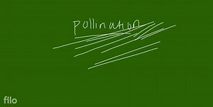 Fig. 14.12 Types of pollination Self-pollination (A and B), Cro... | Filo