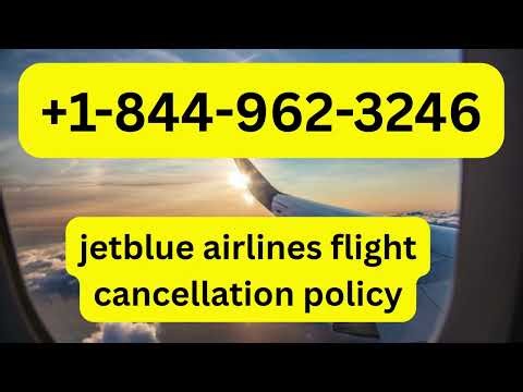 Jetblue Flight Cancellation Policy | 24 Hours Guidelines, Step-by-Step Process