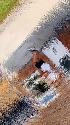 Giving my neighbours the Toosie Slide 🕺🏾 #toosieslidechallenge #tiktoktraditions #fyp #houseoftiktok #4u #foryou #viral #fyp