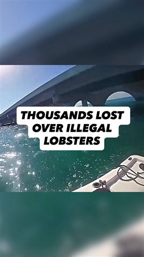 probingcops on Instagram: "follow @justbodycams for more body cam footage 🚨 Police departments use body cameras because they record everything exactly as it happens — traffic stops, arrests, arguments, mistakes, and moments where things escalate fast. Without them, most cases turn into one person’s word against another, and critical details get lost or twisted. A body cam forces every interaction to have a timestamp, an angle, and a record that can’t be rewritten later. They’re also used to pro