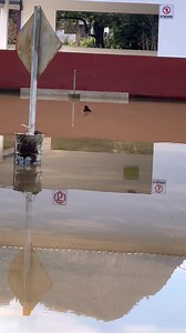 1.9M views · 20K reactions | Aleta de tiburón 麗 | Fallo Payo | Facebook