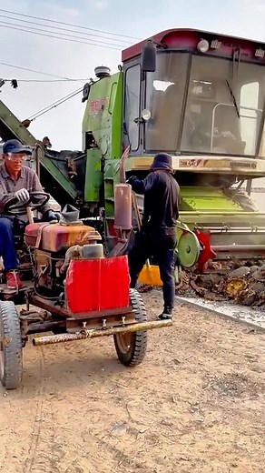 automatic sunflower seed peeling machine #reels #reelsfb #fbpro #fyp #viral #machine #sunflower #reelsusa | Ita Paridawati