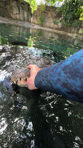 TikTok - Make Your Day