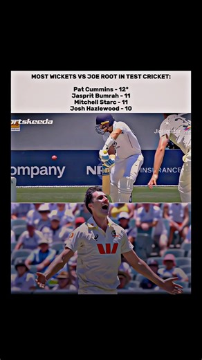 The owner of joe edwards root! 💀🥶 #cricket #patcummins