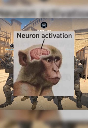 OOK OOK: El Primer Pimp Chimp en Counter-Strike