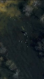 🦆SUNDAY SCRIPTURE🦆 #duckcommandersunday | Duck Commander