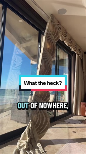 I thought the ceiling was caving in! So strange that this just fell. Ember agrees. Ash, on the other hand, is rolling with it. #mishap #cats