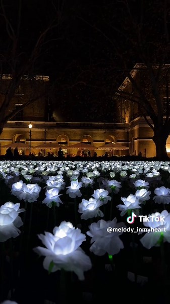 In memory of loved ones 🥀🤍#everaftergarden @Ever After Garden @Royal Marsden Cancer Charity