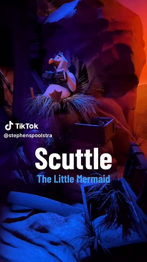 Scuttle Sings The Scuttlebutt - A Musical Seagull Performance