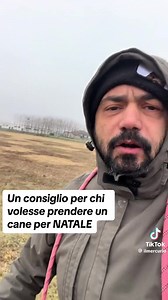 E già.... Questo video esprime in modo chiarissimo il nostro pensiero... MIRACCOMANDO I CUCCIOLI CHE STATE REGALANDO AI VOSTRI BAMBBBINI .. AI NONNI E COSI" VIA ... A GENNAIO BUTTATELI IN QUALCHE CANILE COME SEMPRE... !! 2024 ORMAI .. REGALATEVI UN LIBRO !!!! ANCHE 2 E LASCIATE IN PACE QUESTE ANIME .. ABBIATE RISPETTO PER QUESTE ANIME !! | La zampa sul cuore Trani