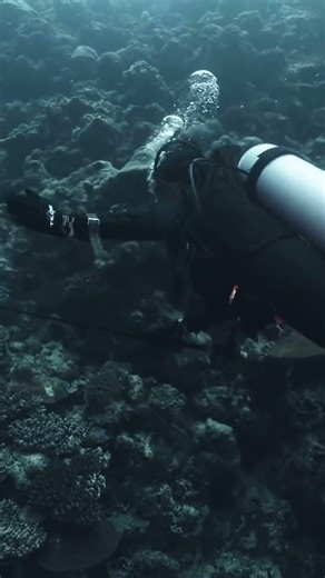 Essenz eines Tauchcomputers in 60 Sekunden