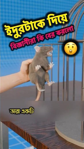 Scientists Made a Shocking Discovery Using Mice 🐭