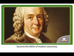 11 ACTION. Module 1 Video 3 What's in a name