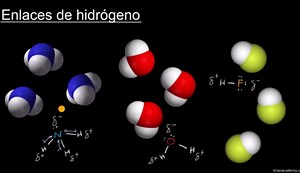 Puente de hidrógeno